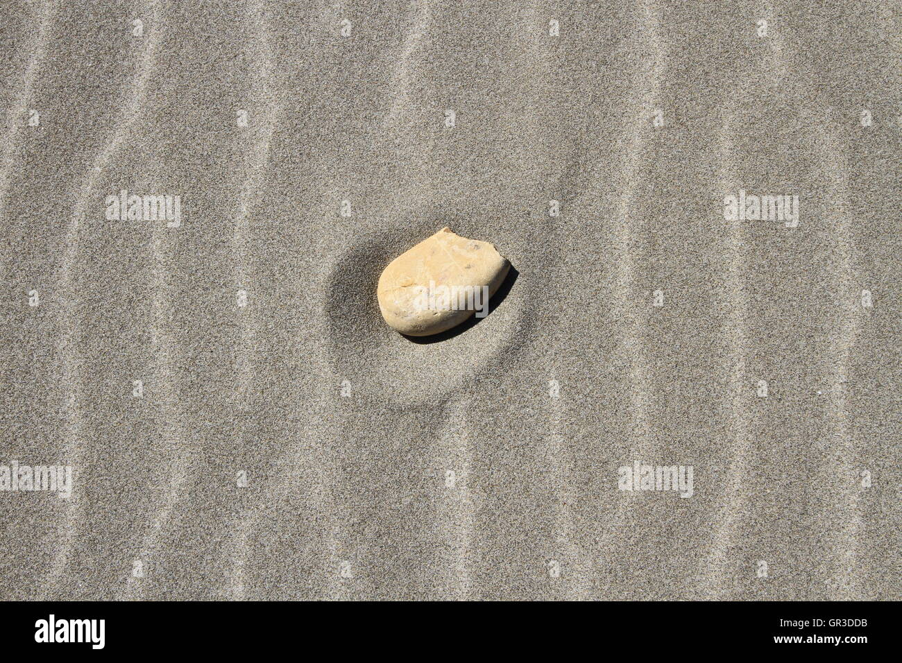 Stone on beach sand Stock Photo - Alamy