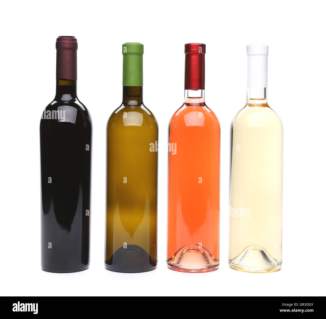 Kinds of rose Cut Out Stock Images & Pictures - Alamy