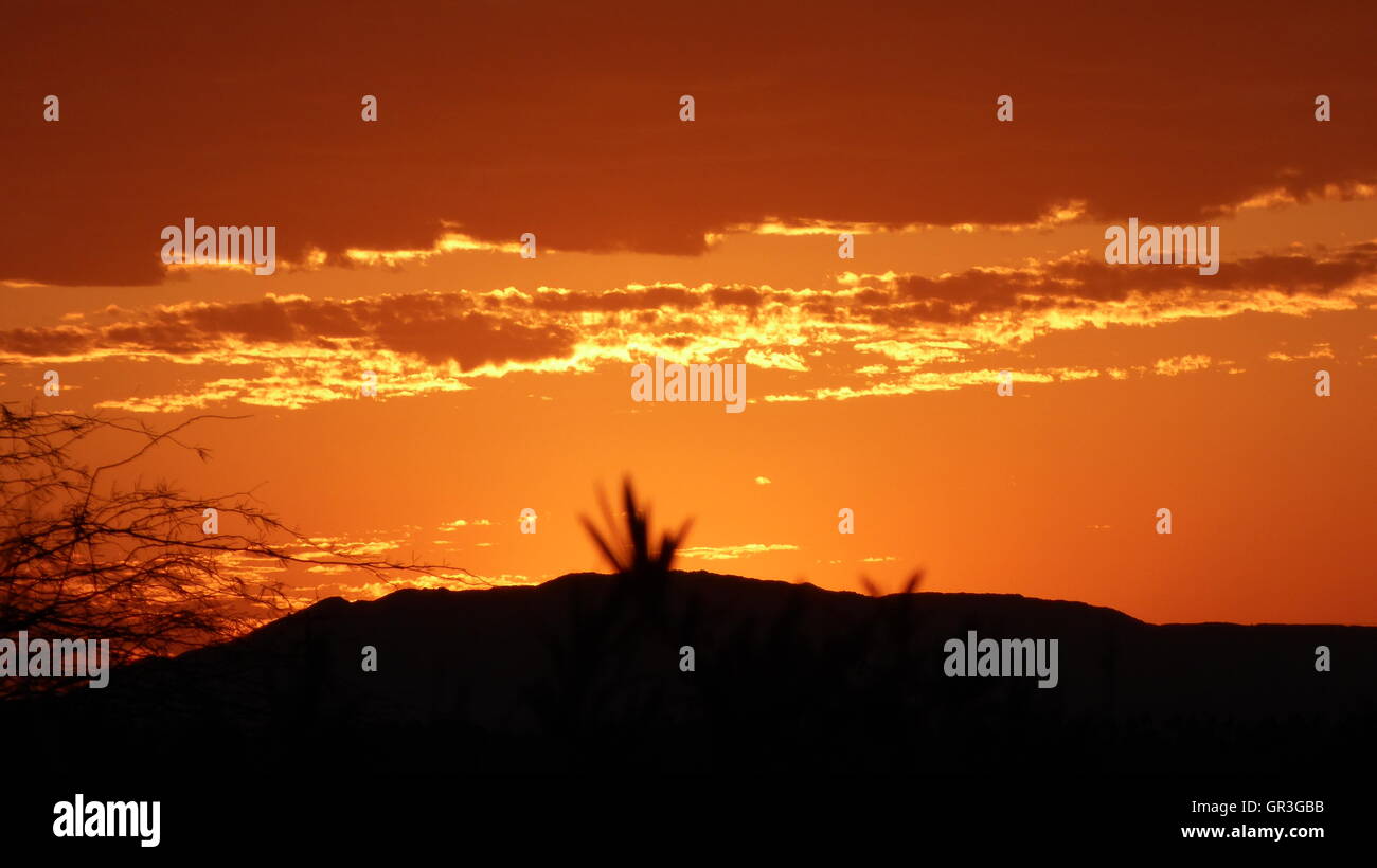 Gold colors hi-res stock photography and images - Alamy