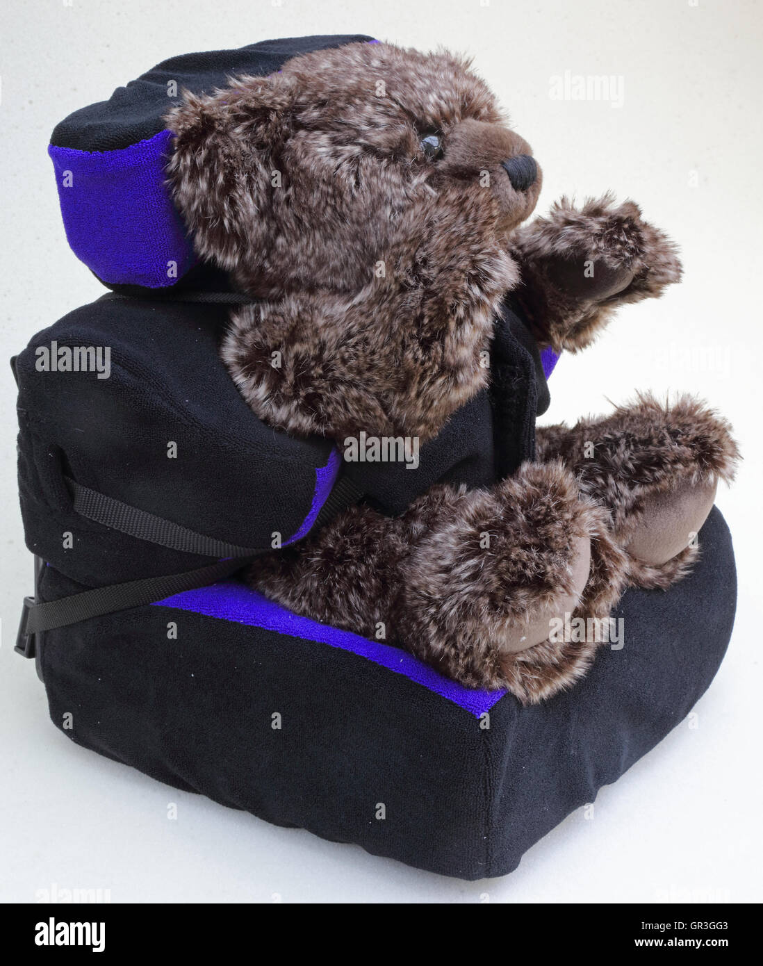 A cuddly Brown Teddy Bear sat and safely strapped and secured in a ...