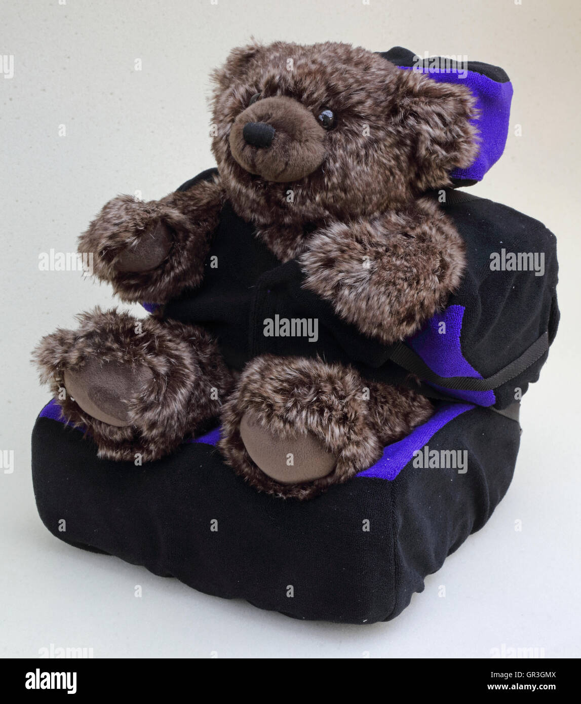 A cuddly Brown Teddy Bear sat and safely strapped and secured in a ...