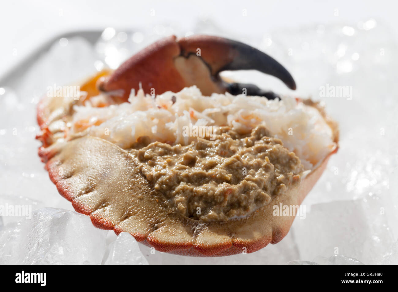 Prepared Crab in Shell Stock Photo - Alamy