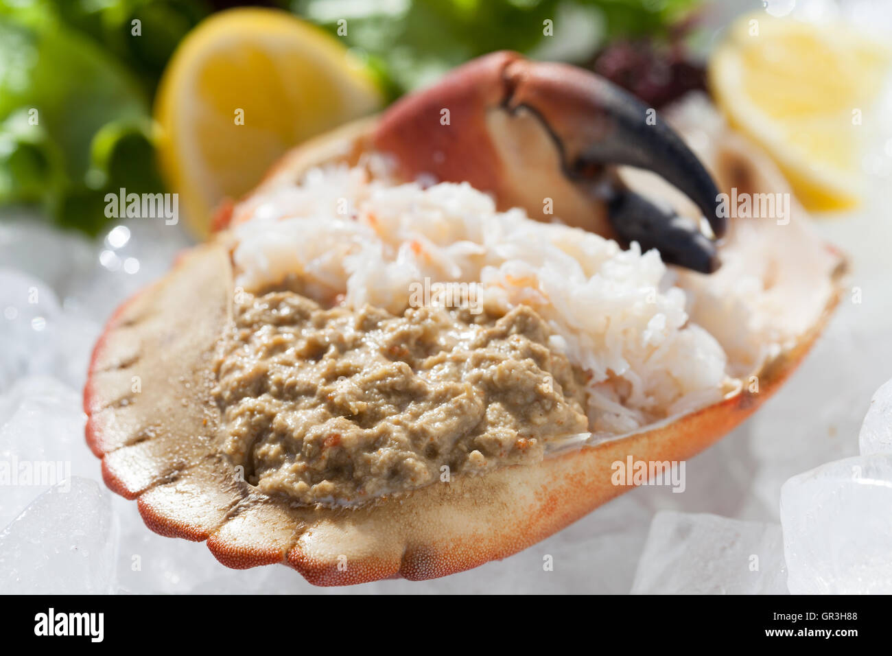 Prepared Crab in Shell Stock Photo - Alamy