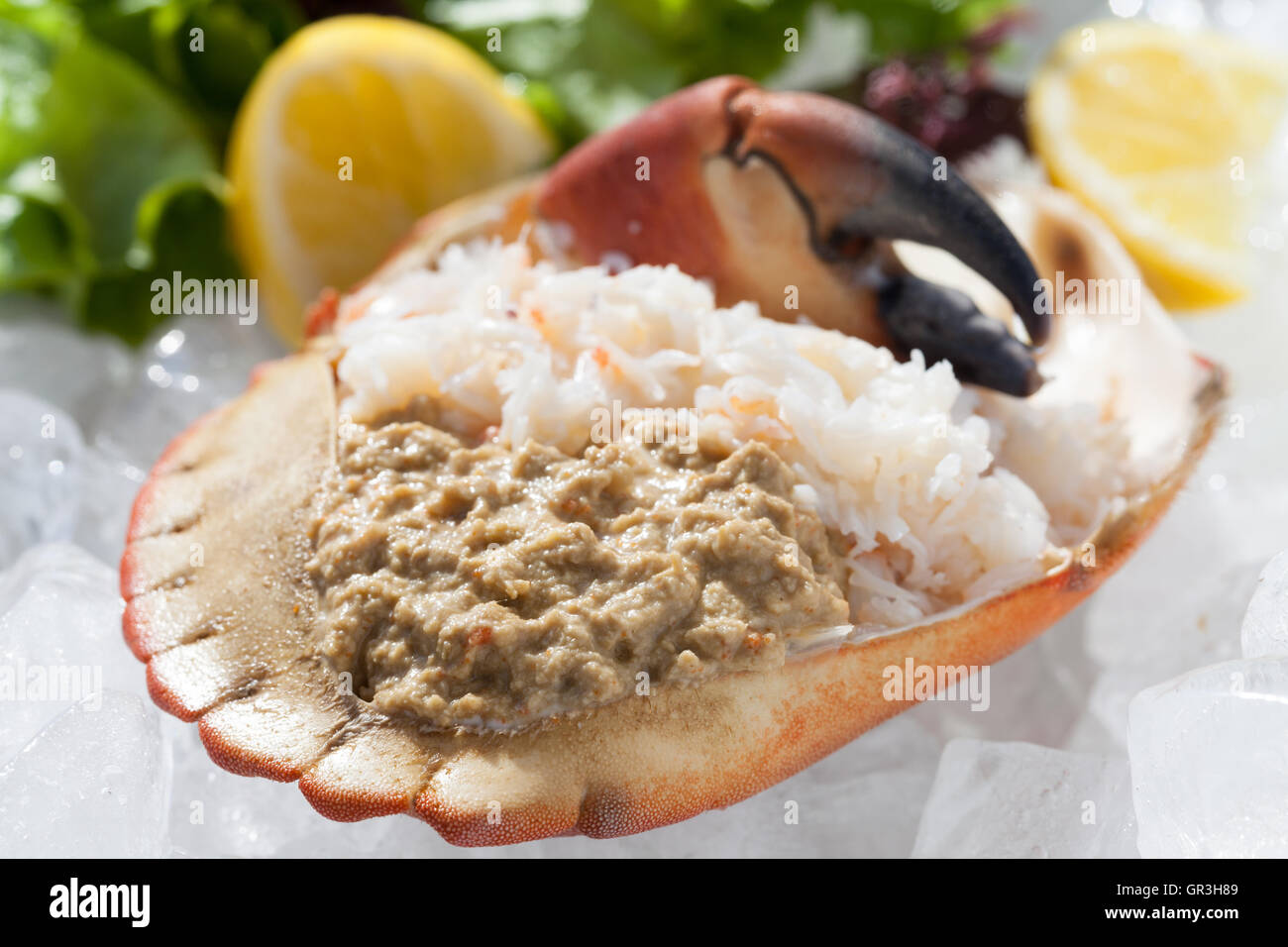 Prepared Crab in Shell Stock Photo - Alamy