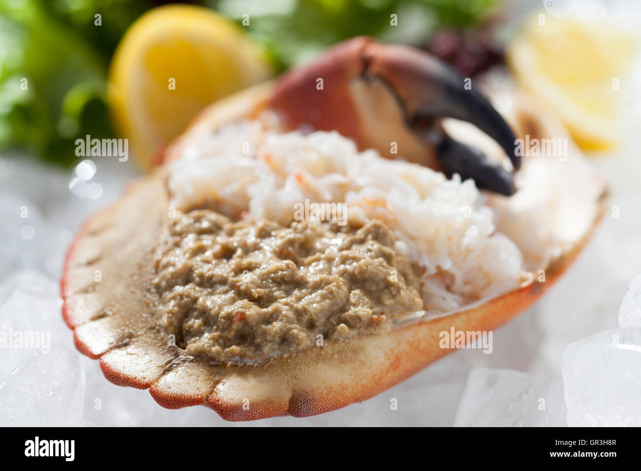 Prepared Crab in Shell Stock Photo - Alamy
