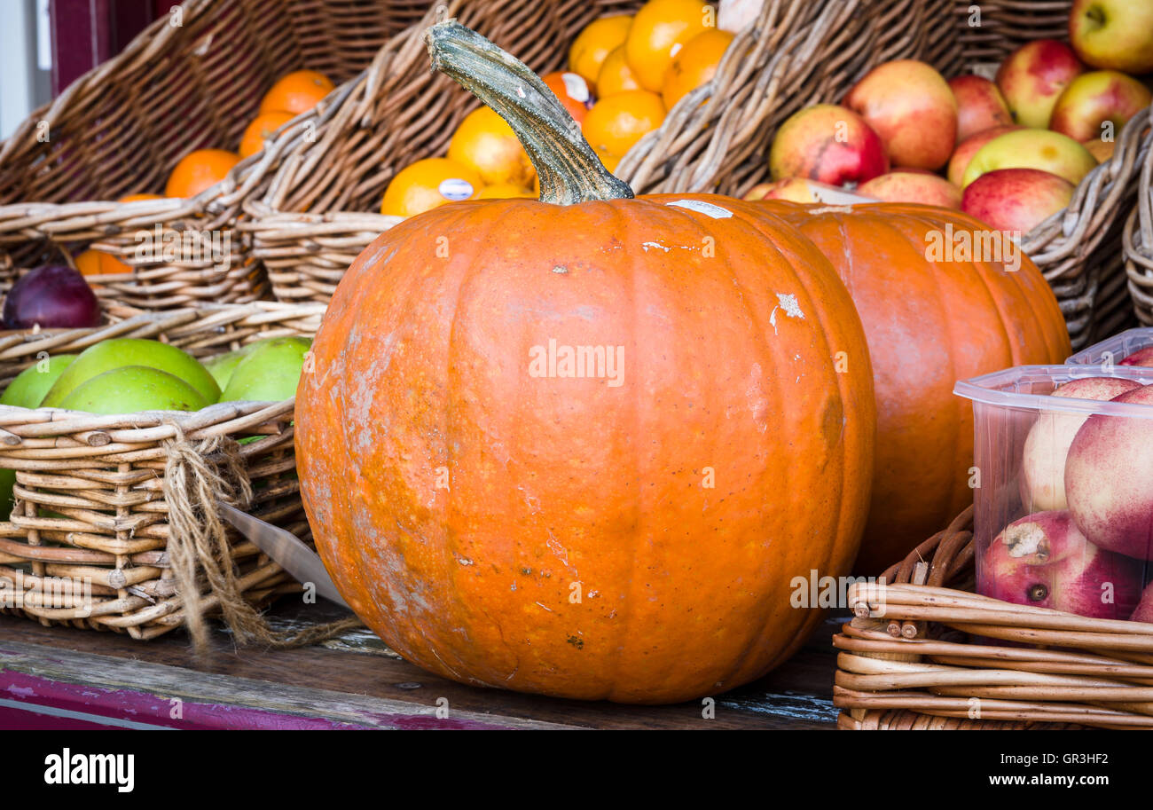 A pumpkin is a cultivar of the squash plant, most commonly of Cucurbita ...