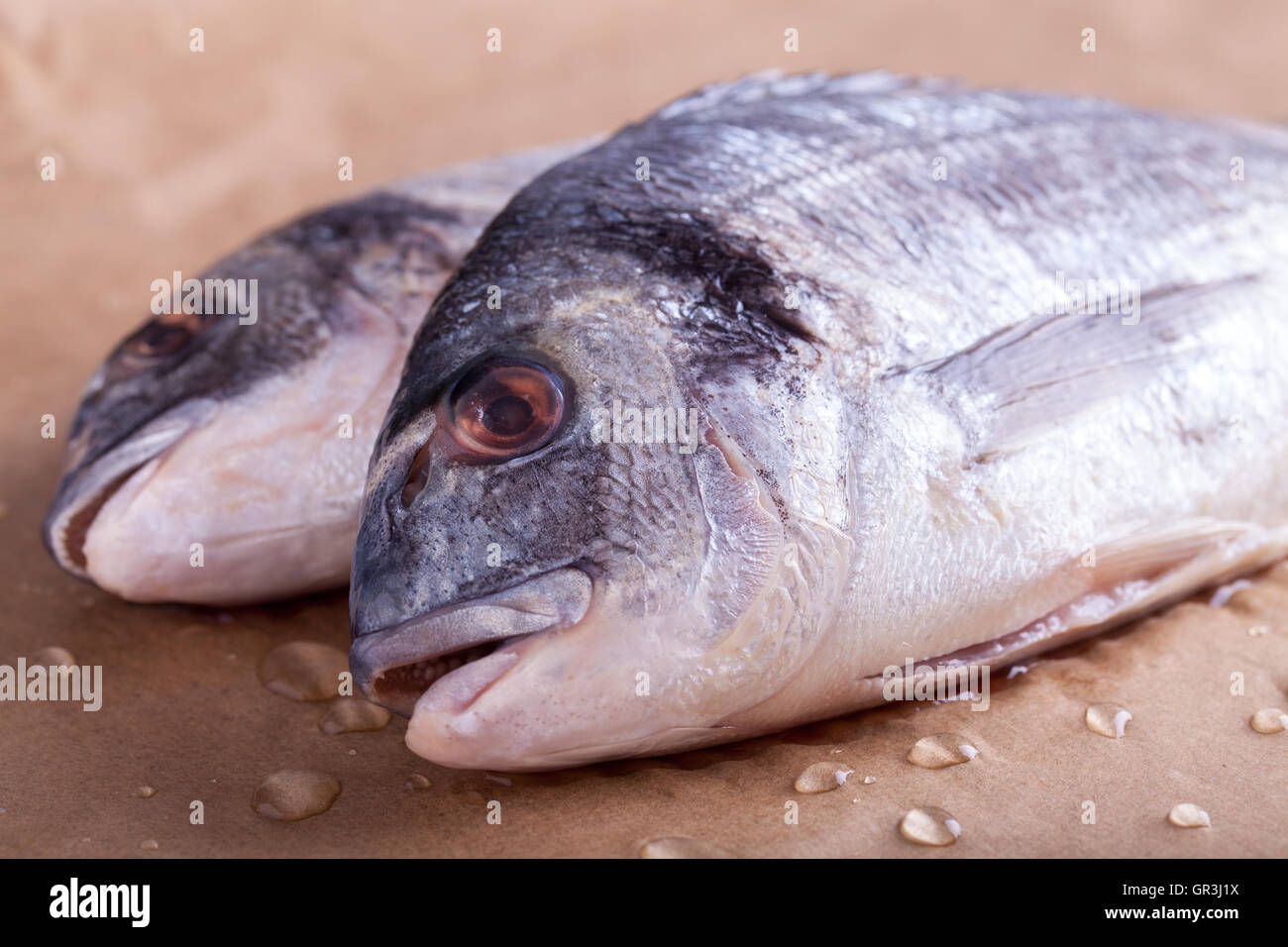Gutted and ready to cook hi-res stock photography and images - Alamy