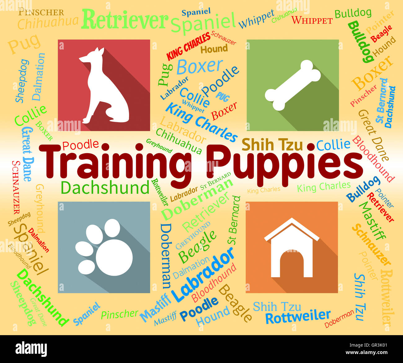 Training Puppies Indicating Dogs Pups And Skills Stock Photo - Alamy