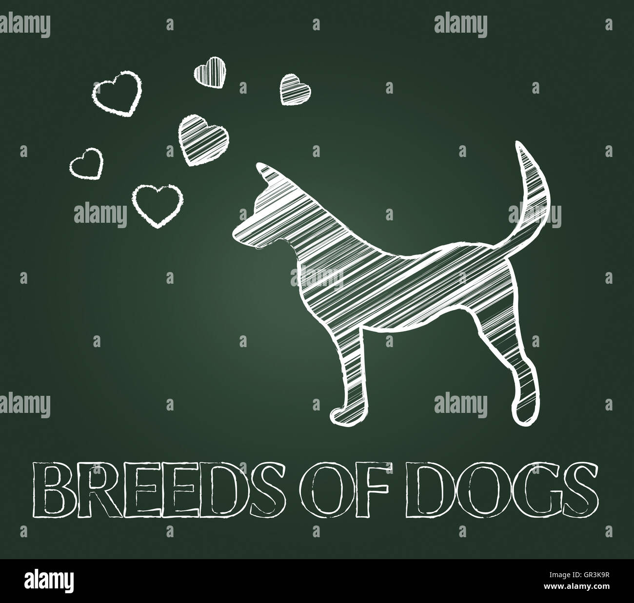 Breeds of dogs hi-res stock photography and images - Alamy