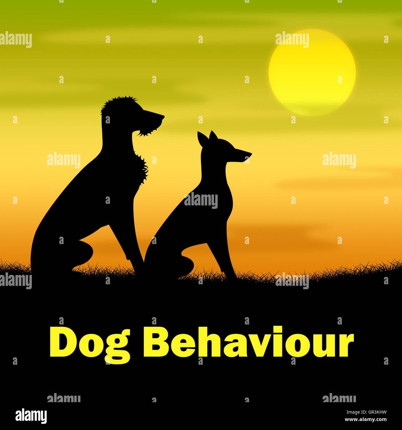 Dog Behaviour Representing Evening Behave And Doggie Stock Photo - Alamy