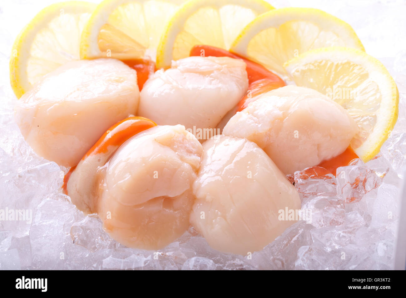 Scallops on Ice Stock Photo - Alamy