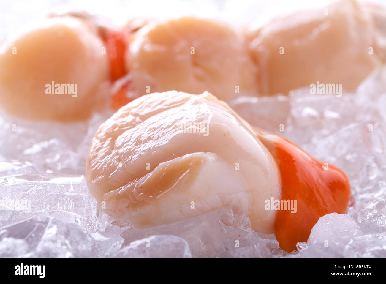 Scallops on Ice Stock Photo - Alamy