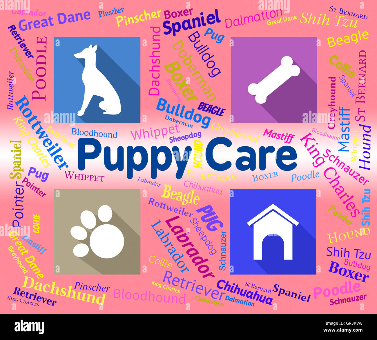 Puppy Care Indicating Doggie Pedigree And Pups Stock Photo - Alamy