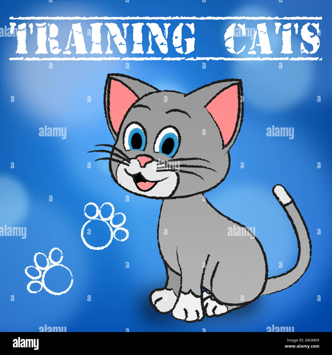 Training Cats Indicating Pets Trained And Felines Stock Photo - Alamy