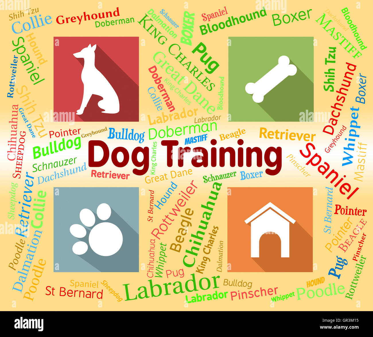 Dog trainer dog trainers hi-res stock photography and images - Alamy