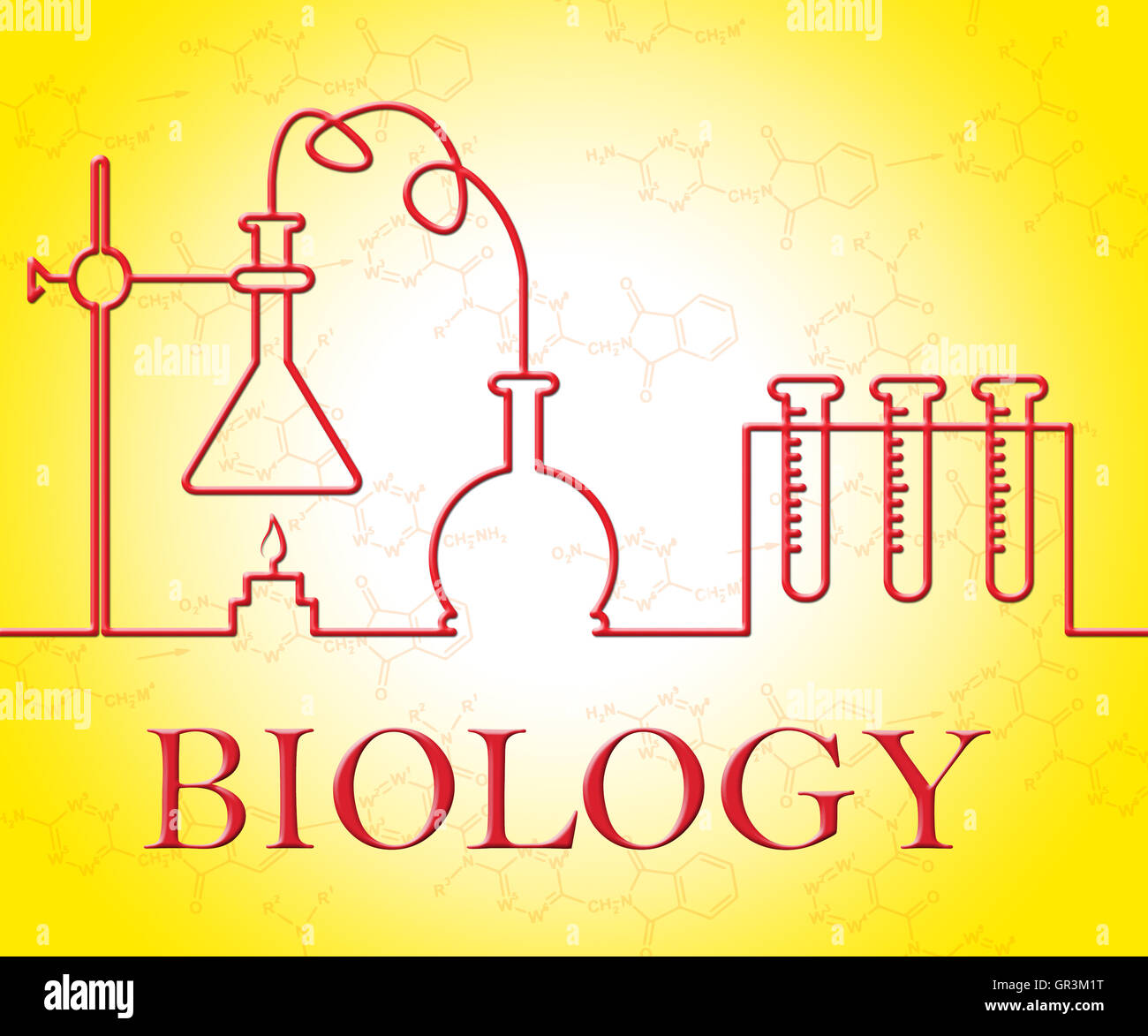 Biology Experiment Showing Trial Researching And Assessment Stock Photo ...