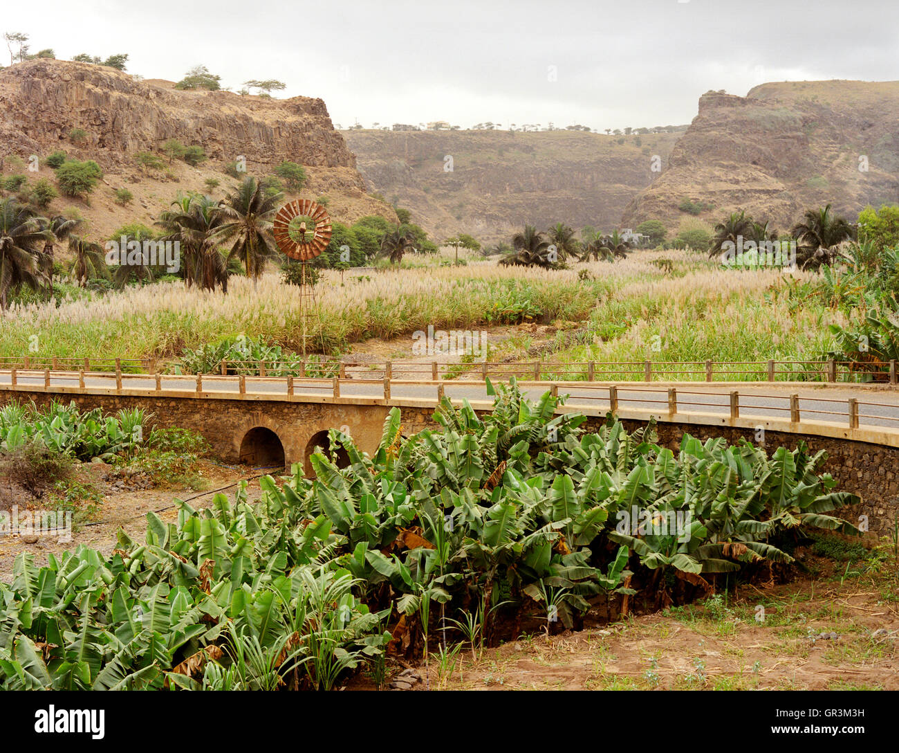 Windmill and sugar cane farm, Achanda Lenda, Ribeira Principal Valley ...