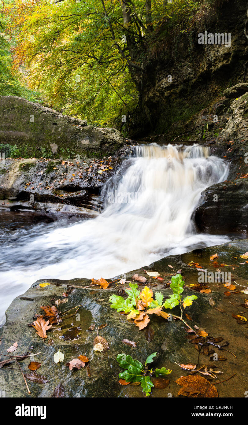 Small waterfall at Skelton Beck, North Yorkshire. remains of the old ...