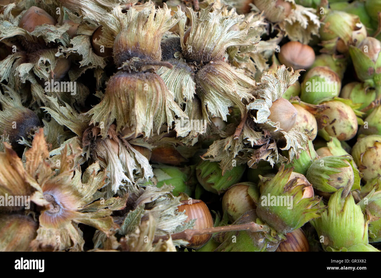 cob nuts on market stall, norfolk, england Stock Photo - Alamy