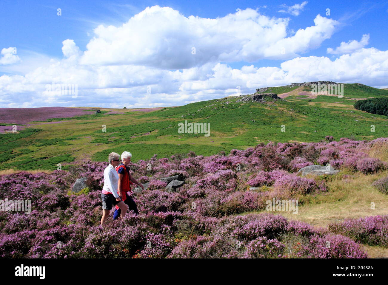 Walkers on a popular footpath across heather clad Burbage Moor, looking ...
