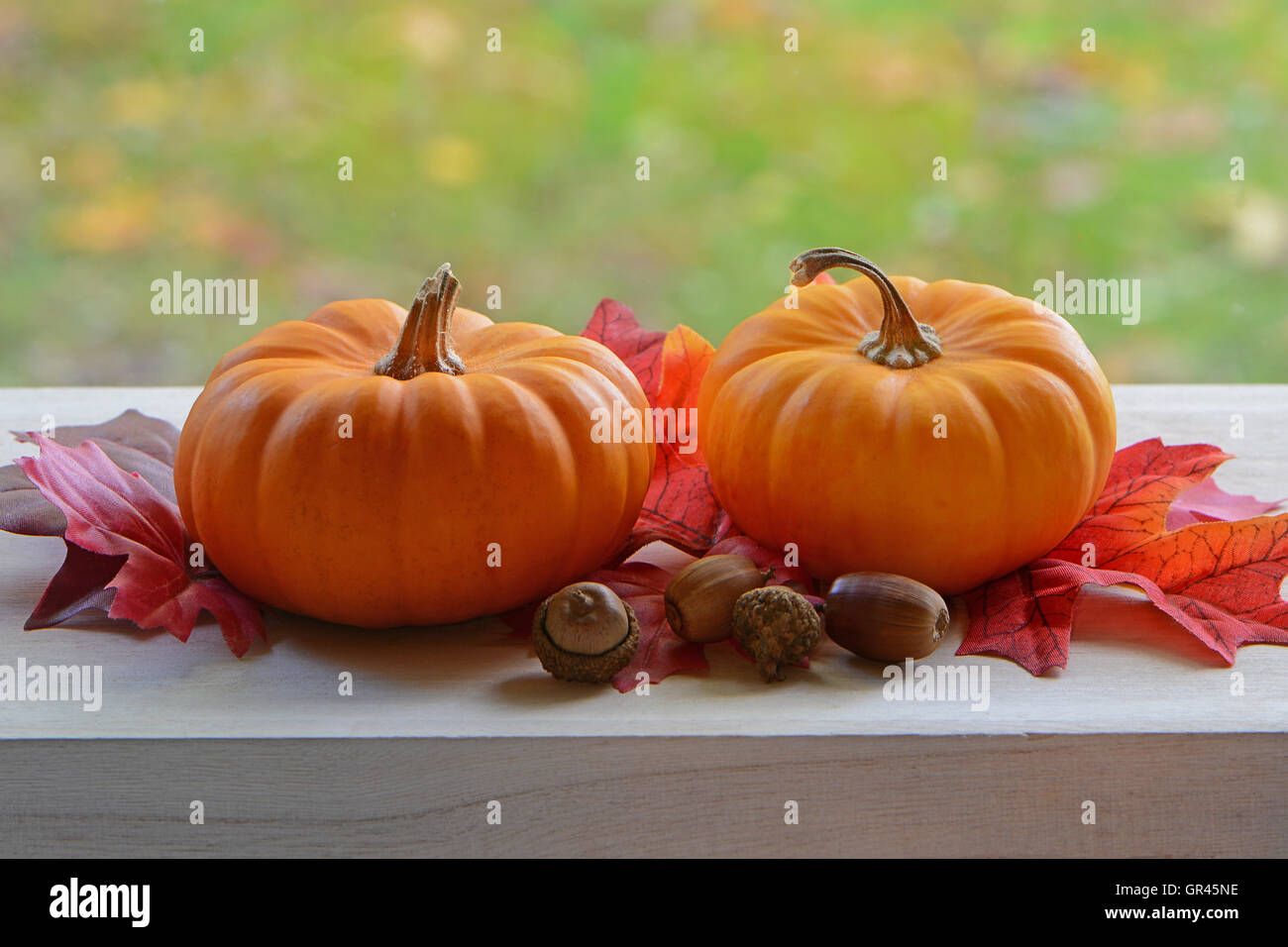 Miniature ornamental pumpkins and acorns on a windowsill display Stock ...