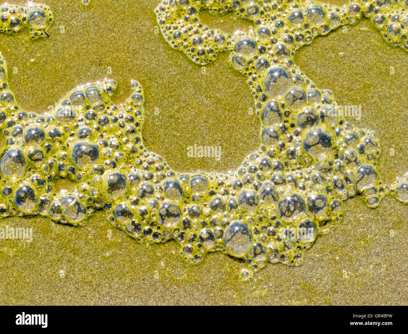 Froth bubbles texture from polluted water on sand Stock Photo - Alamy