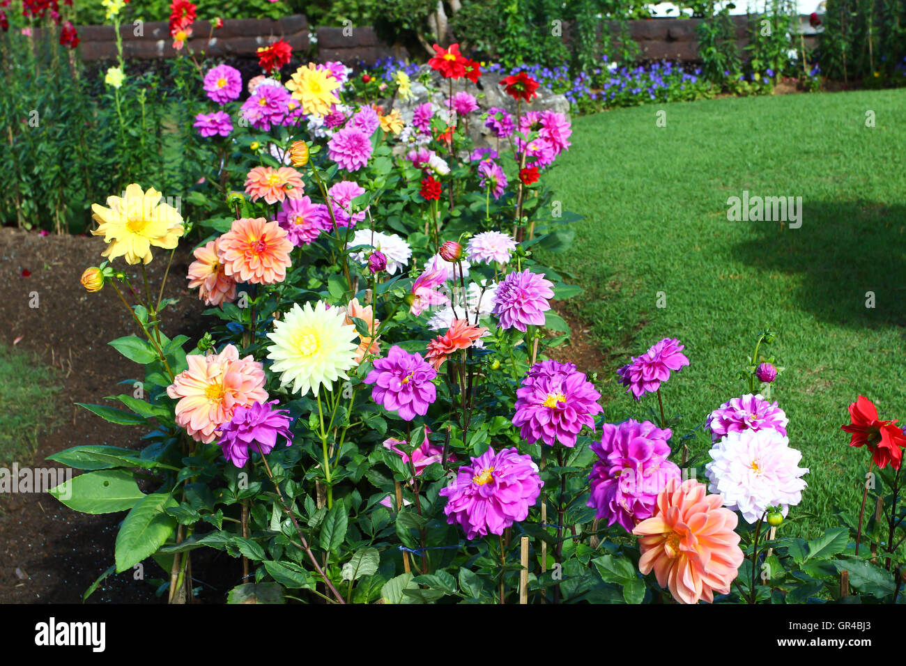 Landscaped flower garden Stock Photo - Alamy