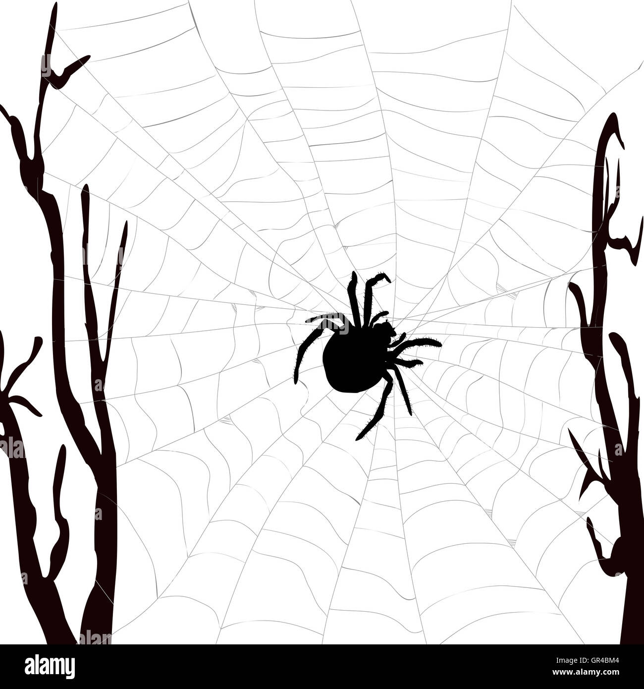 Realistic spider web with spider Stock Photo - Alamy
