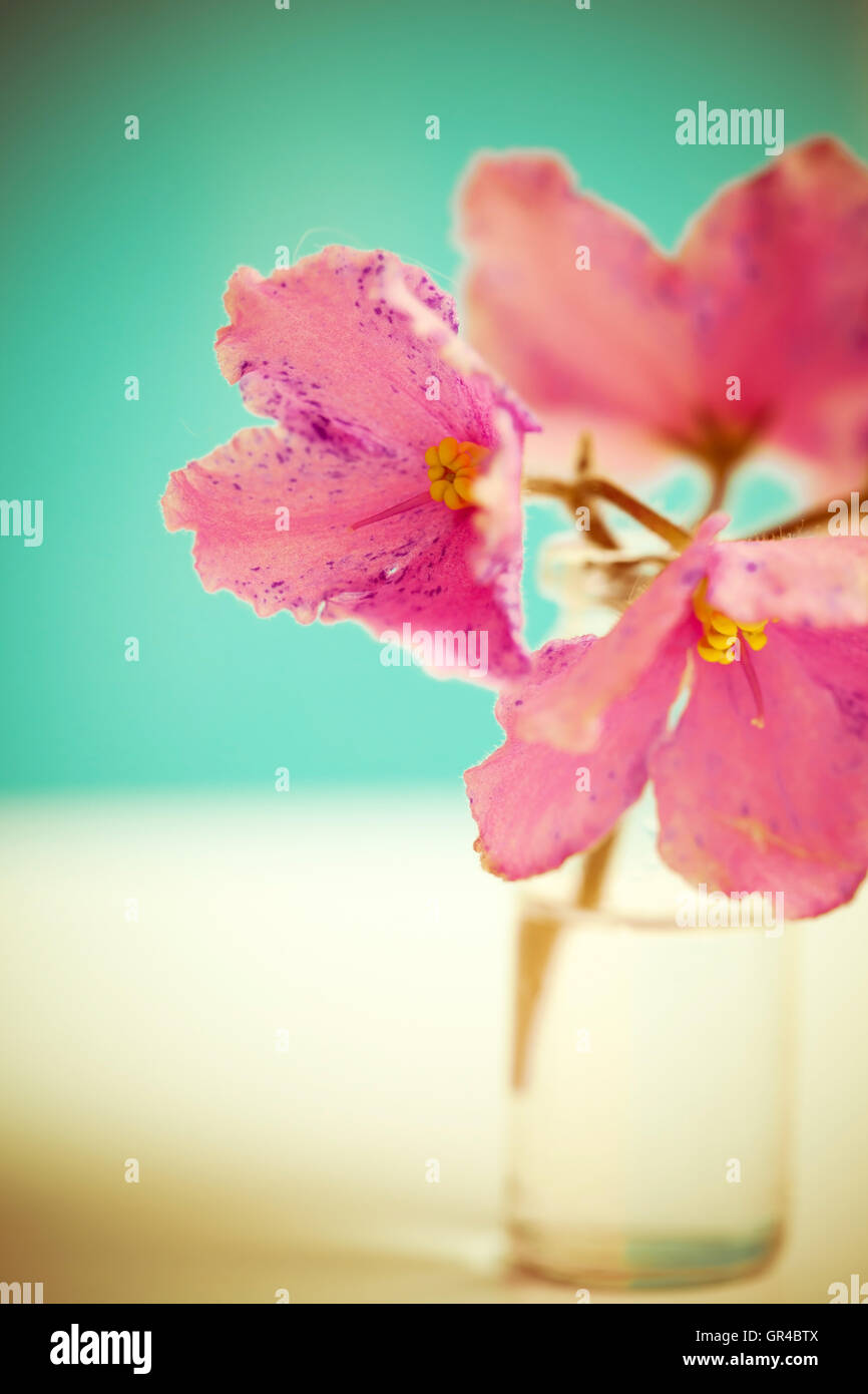 pink flowers in vase Stock Photo - Alamy