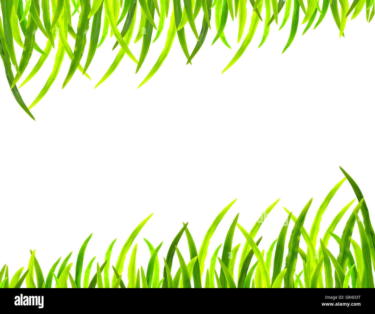 Grass frame in white background Stock Photo - Alamy
