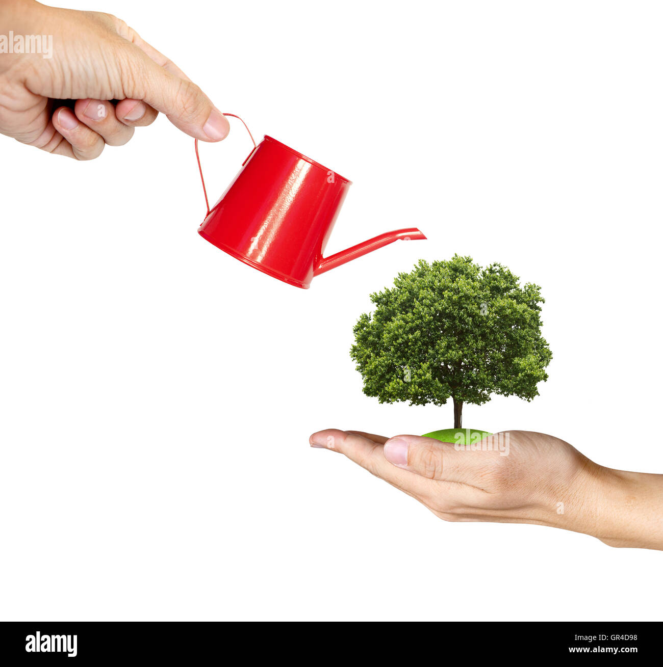 hand watering a tree on another hand Stock Photo - Alamy