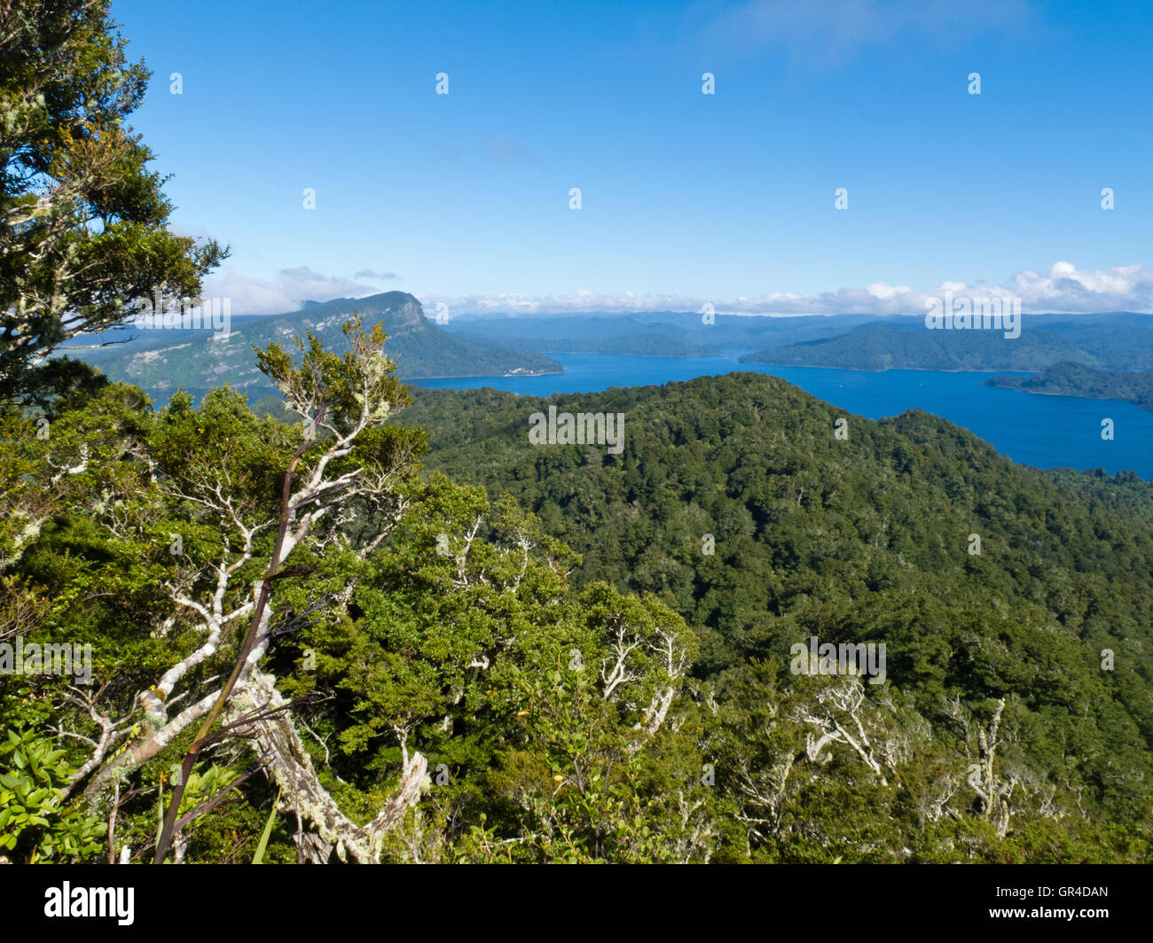 Waikaremoana hi-res stock photography and images - Alamy