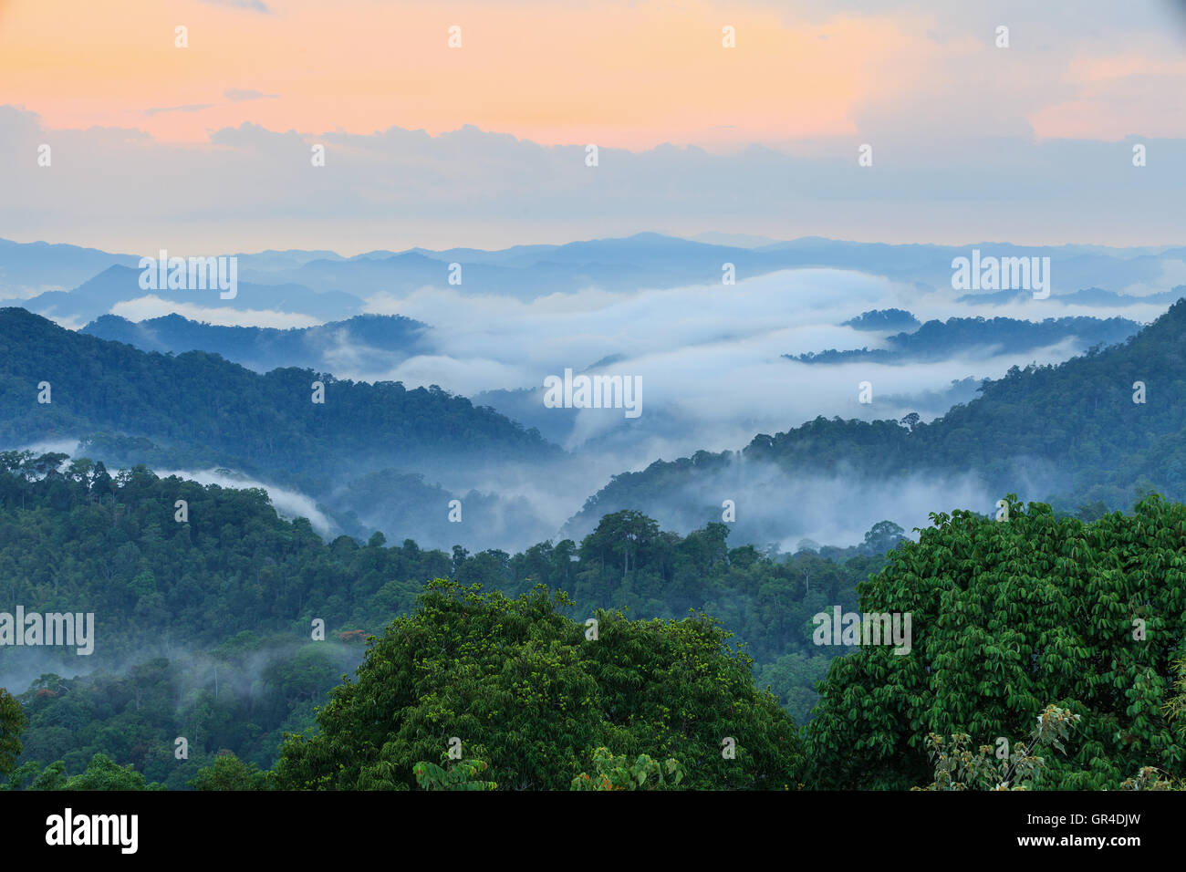 Dramatic clouds with mountain and tree Stock Photo - Alamy