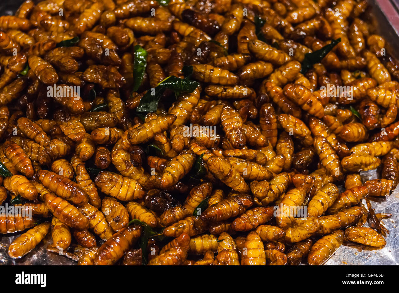 Fried larvas on the thailand Stock Photo - Alamy