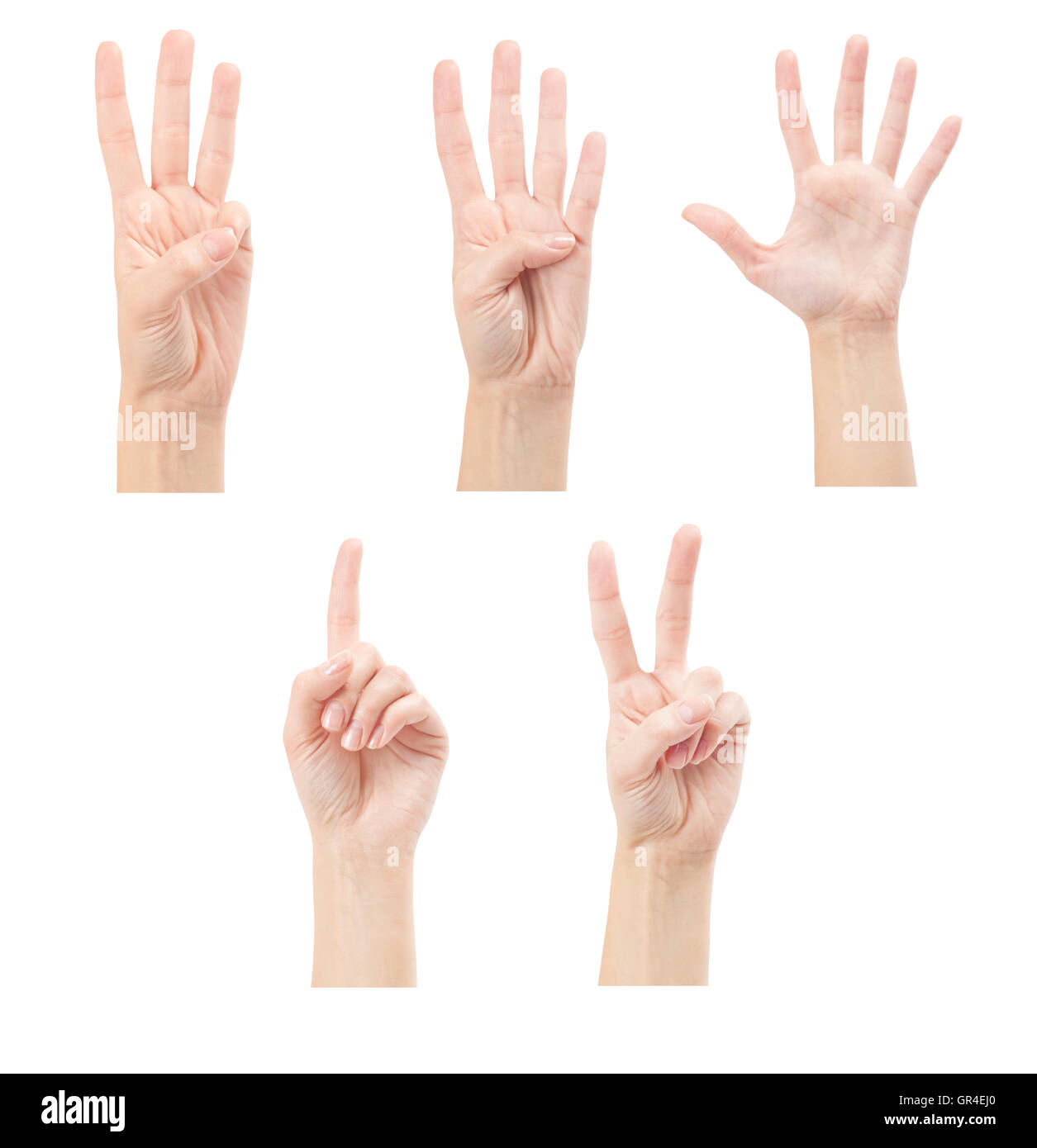 Counting woman hands (1 to 5) isolated on white background Stock Photo ...
