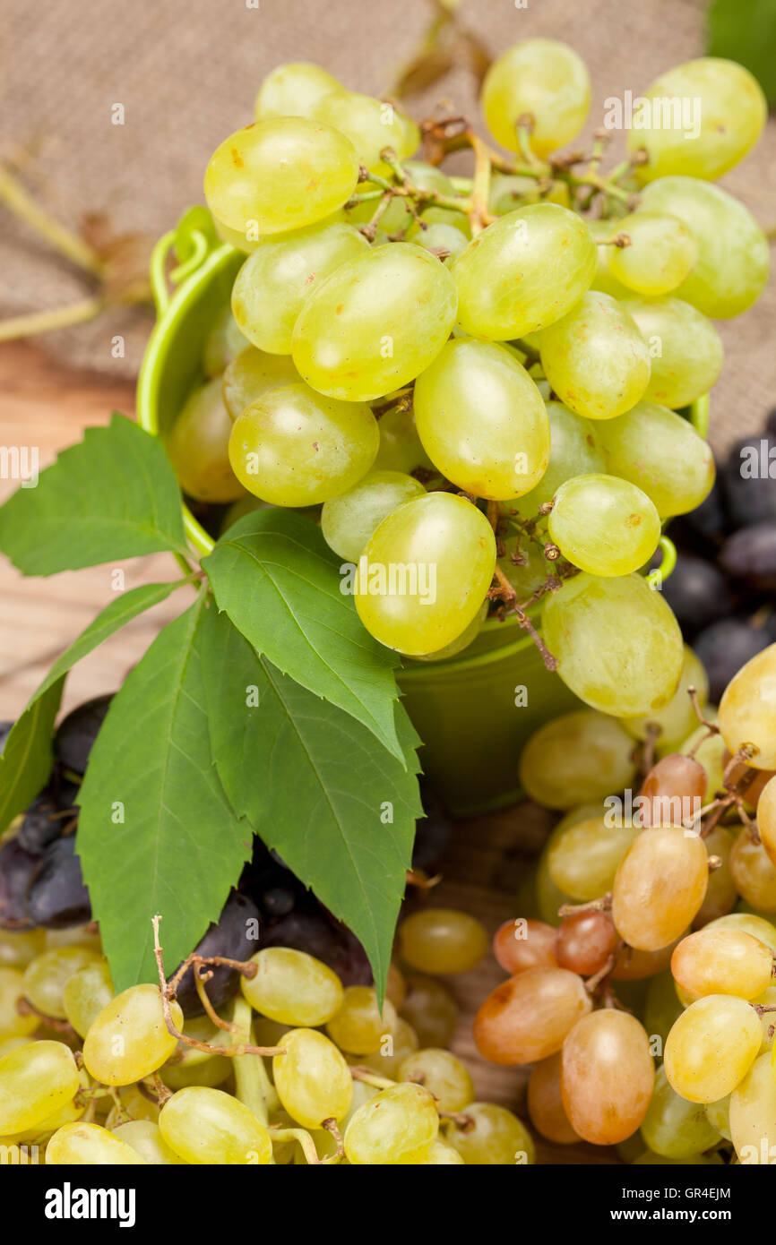 Sampling the harvest hi-res stock photography and images - Alamy