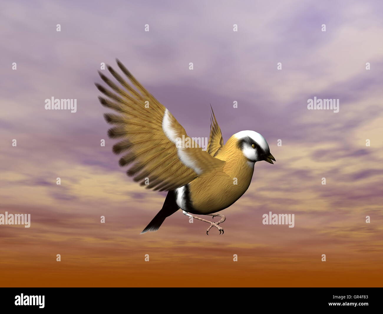 Finch bird flying - 3D render Stock Photo - Alamy