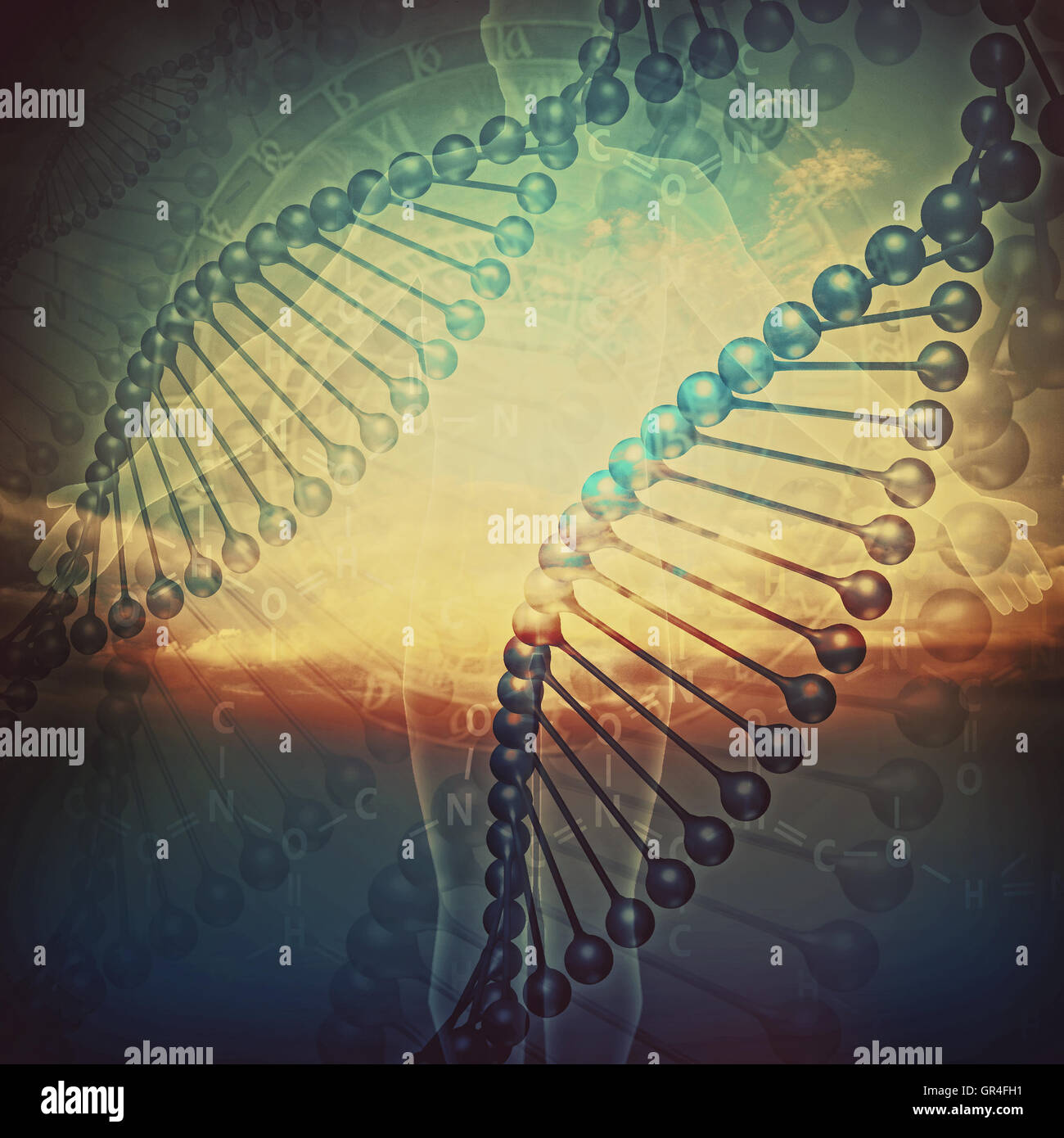 Biology. Abstract education and science backgrounds with human DNA ...