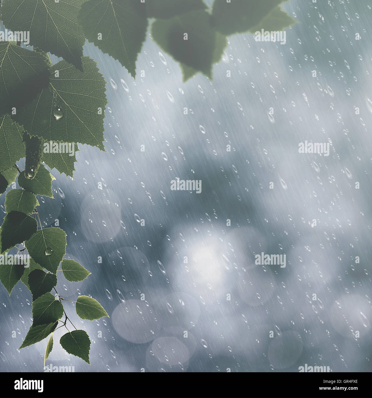 Summer rain abstract seasonal backgrounds Stock Photo - Alamy