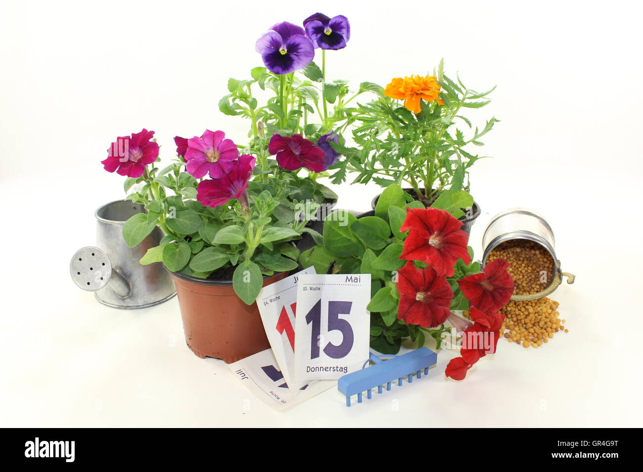 Should release hi-res stock photography and images - Alamy