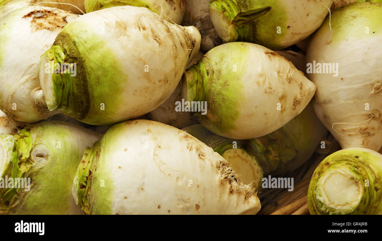 Green and white turnips Stock Photo - Alamy