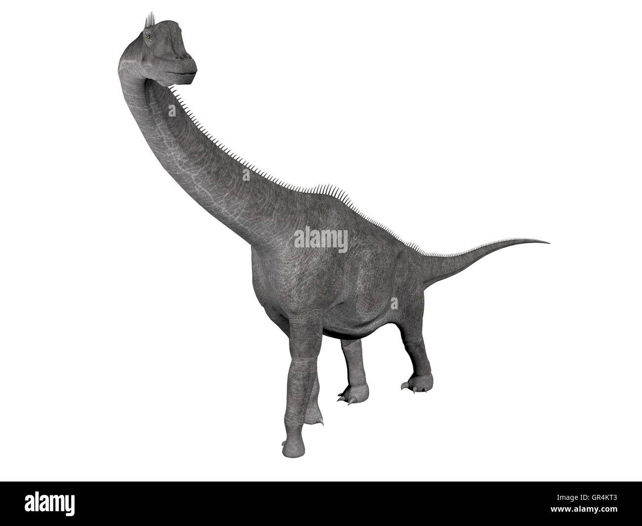 Brachiosaurus dinosaur - 3D render Stock Photo - Alamy