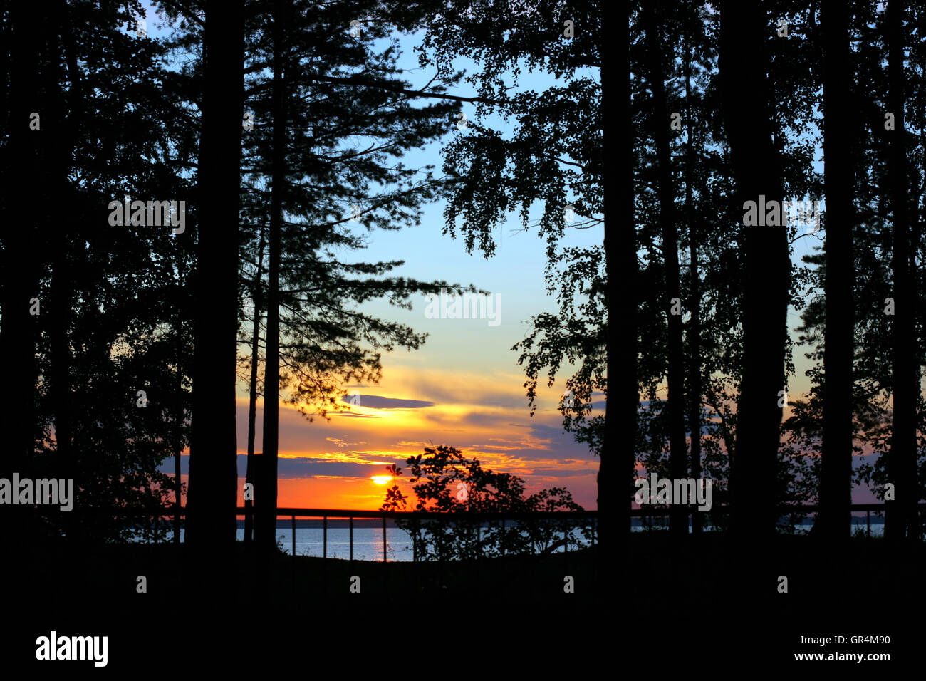sunset in wood Stock Photo - Alamy
