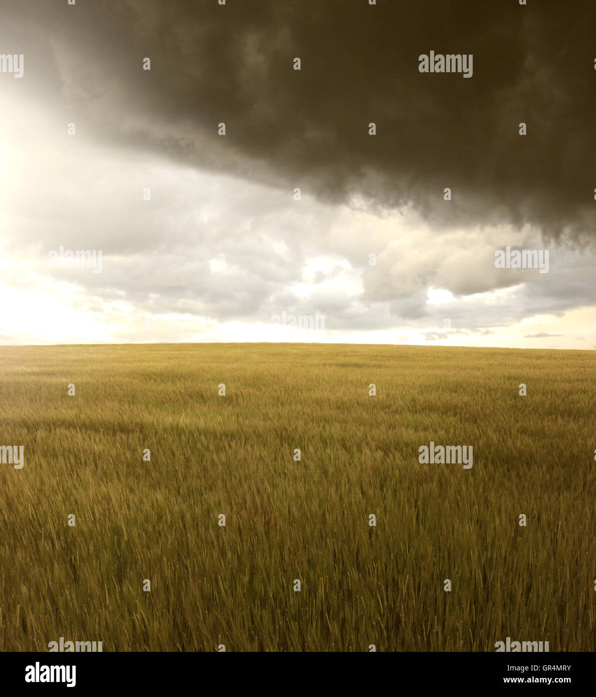 Neutral backgrounds hi-res stock photography and images - Alamy