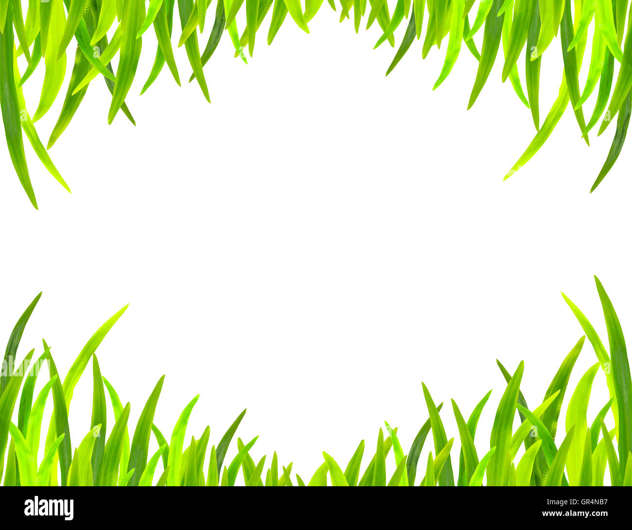 Grass frame in white background Stock Photo - Alamy