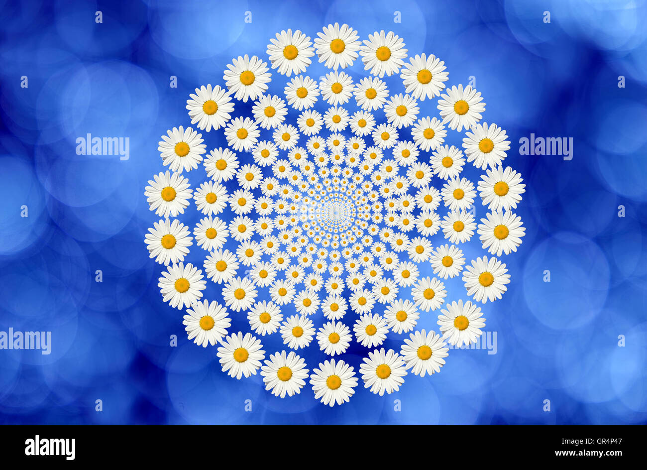 Circle blossom hi-res stock photography and images - Alamy