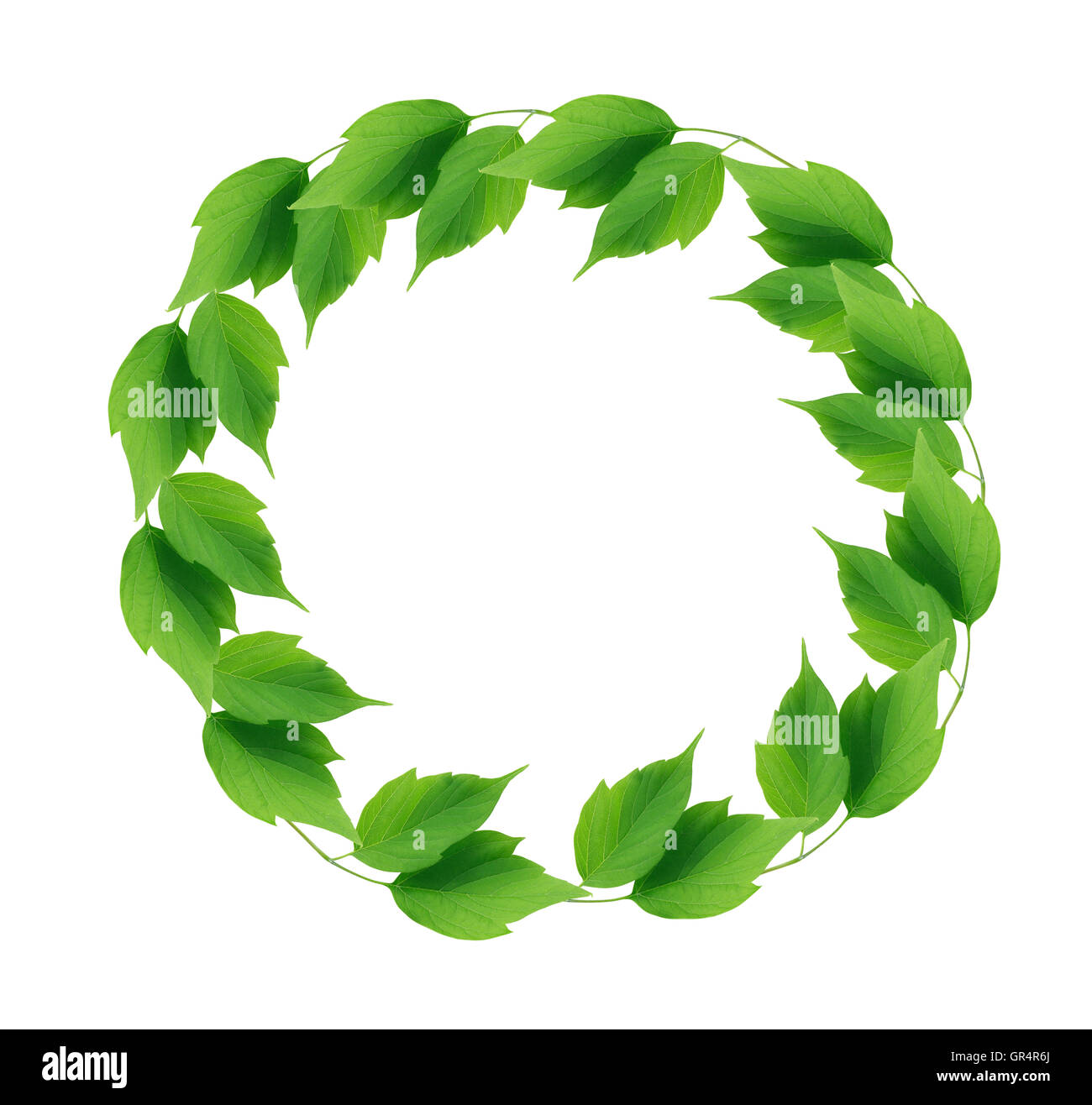 Green Leaves Frame Stock Photo - Alamy