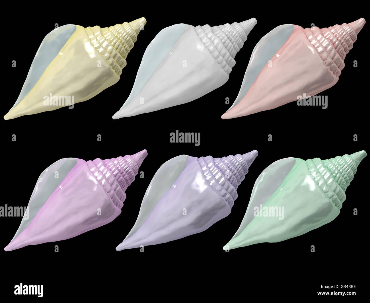 Sea mollusk hi-res stock photography and images - Alamy