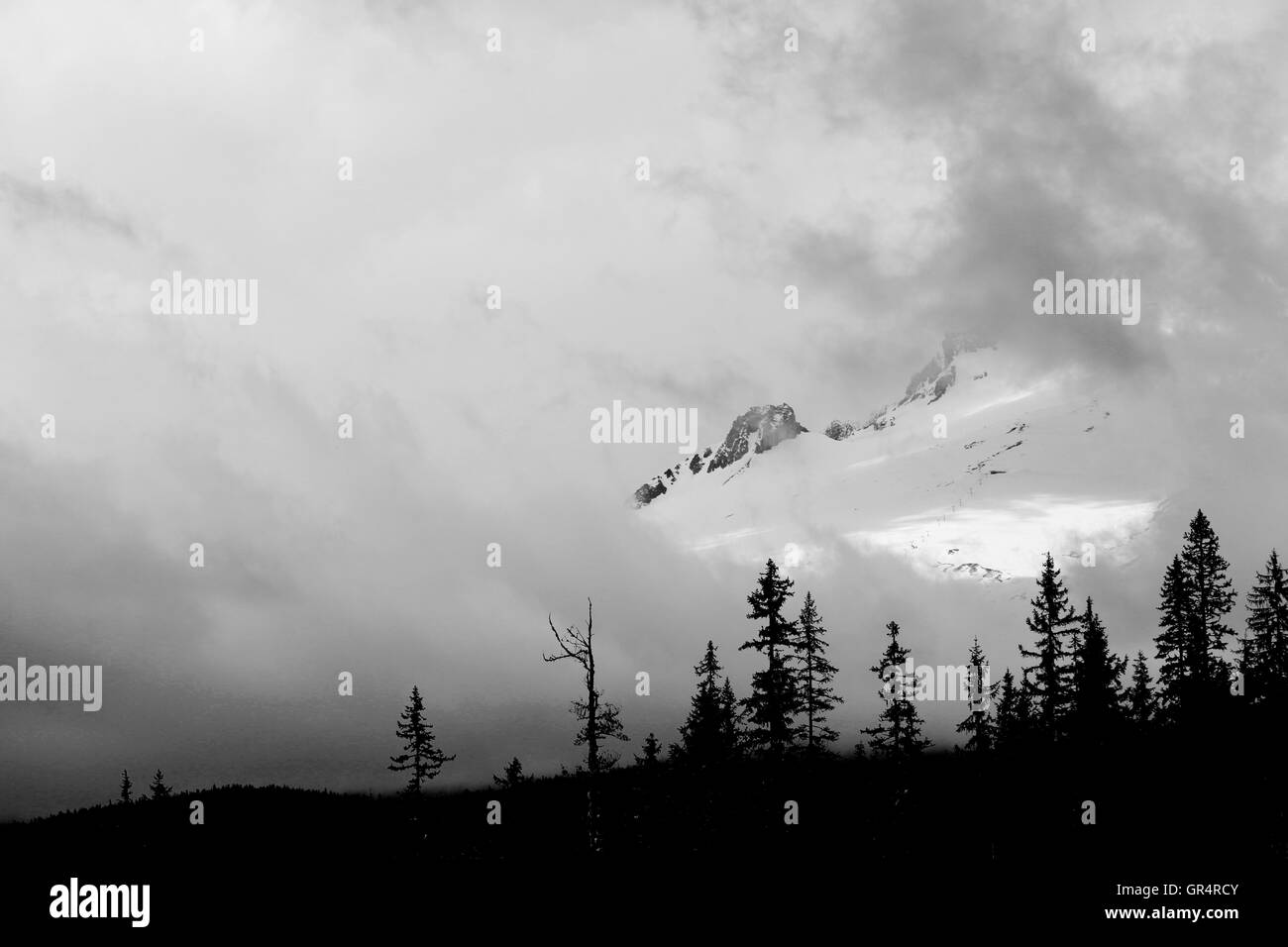 Towering Black and White Stock Photos & Images - Alamy