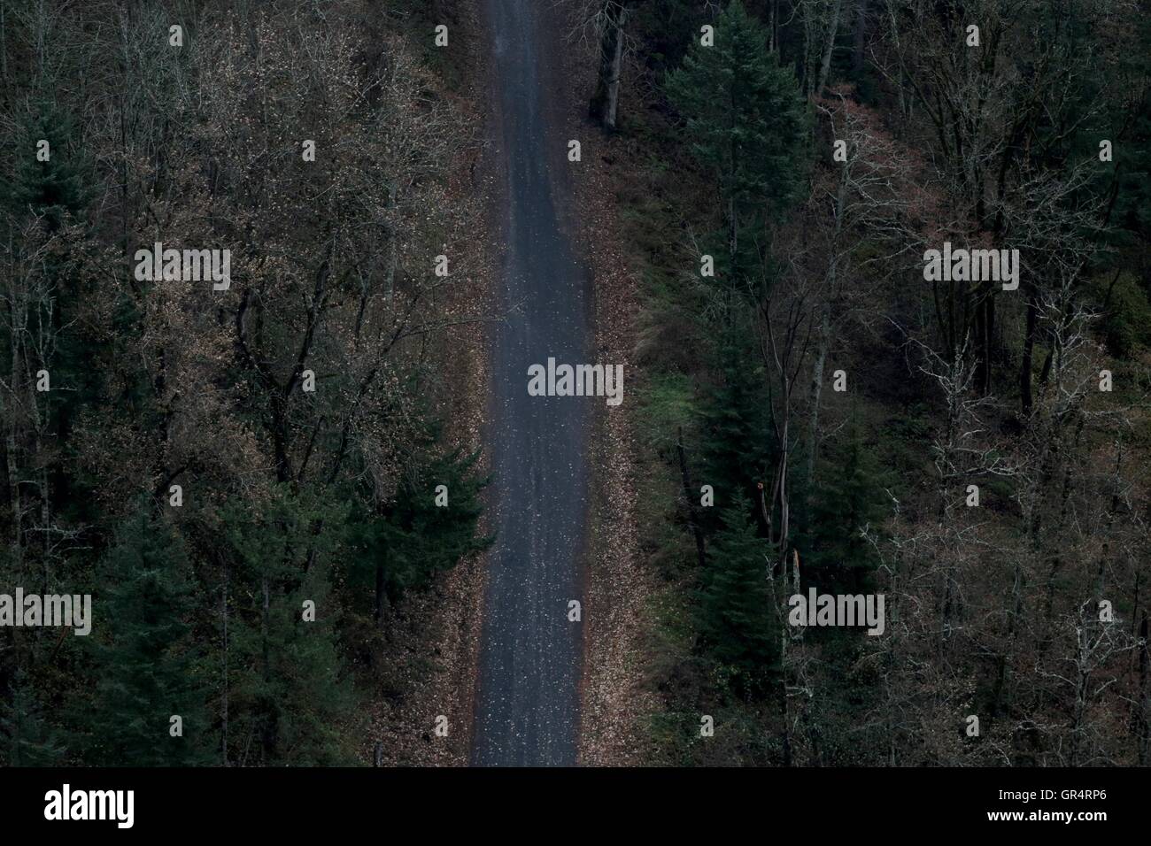 Road empty birds eye view hi-res stock photography and images - Alamy